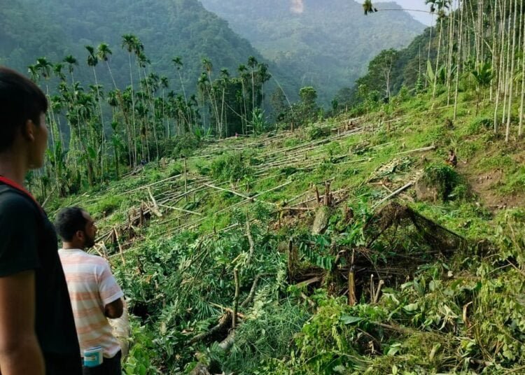 Plantations of Khasi-Pnar villagers razed by Cachar authorities ...