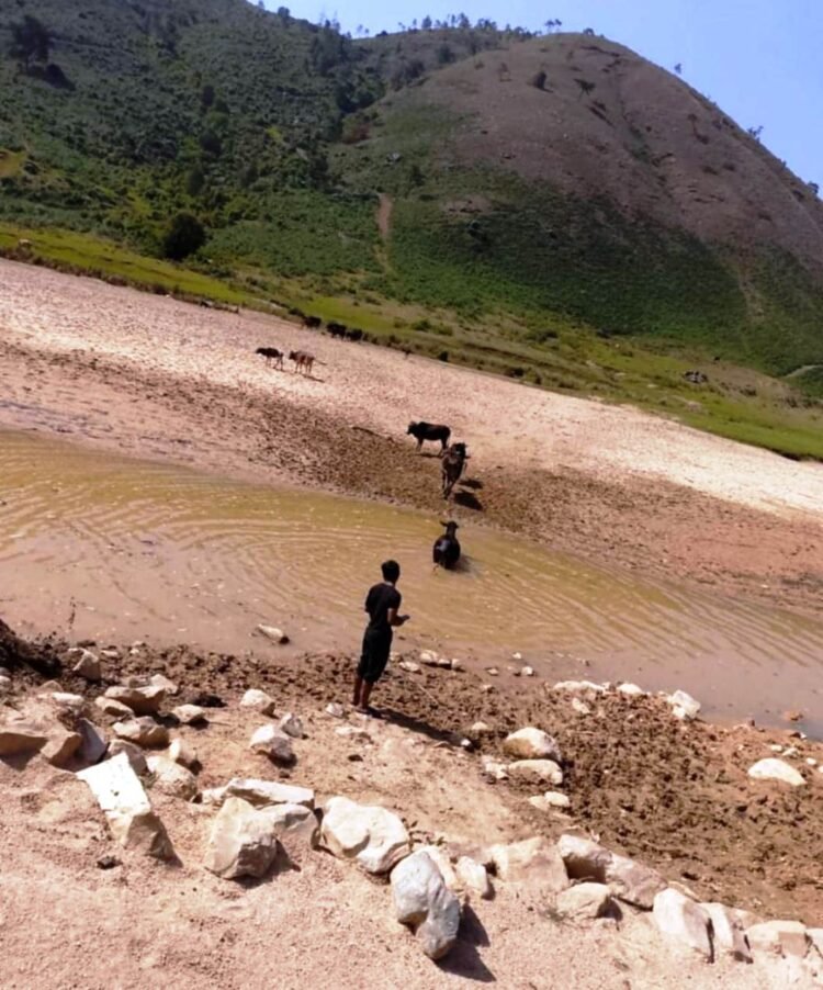 mawphlang upstream | Highland Post