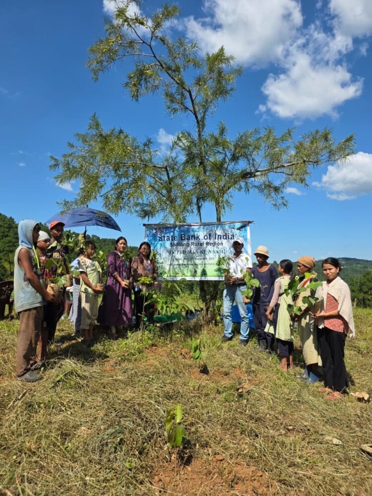 SBI tree planting | Highland Post